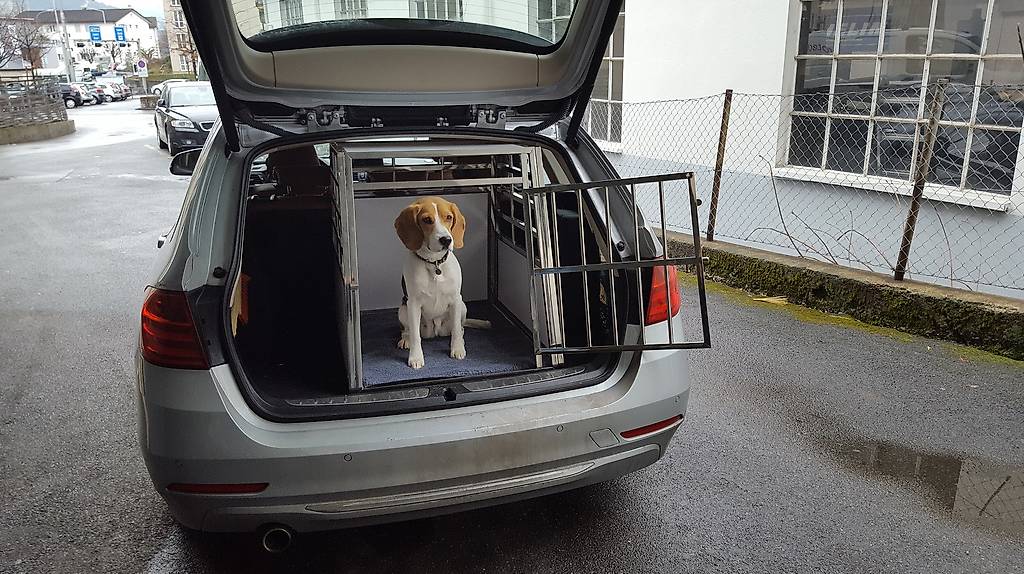 Hundebox Transportbox NEU m. Antirutsch Liegematte (C-A-S-N) im Kanton Zug - tutti.ch