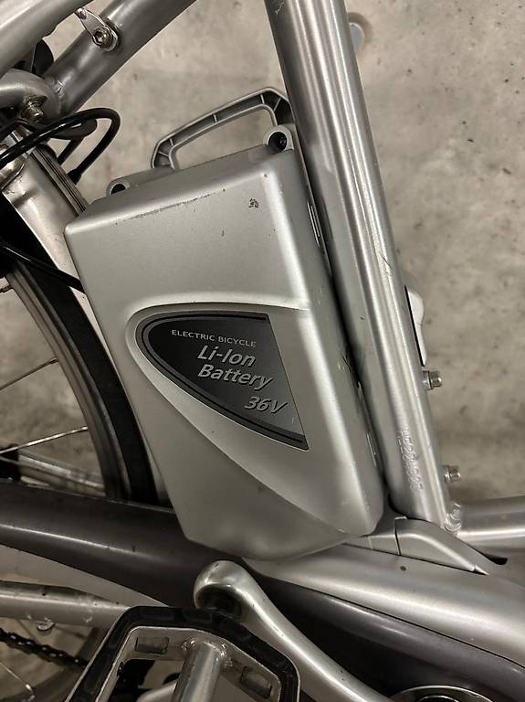 Akku Flyer, 36V im Kanton Bern - tutti.ch