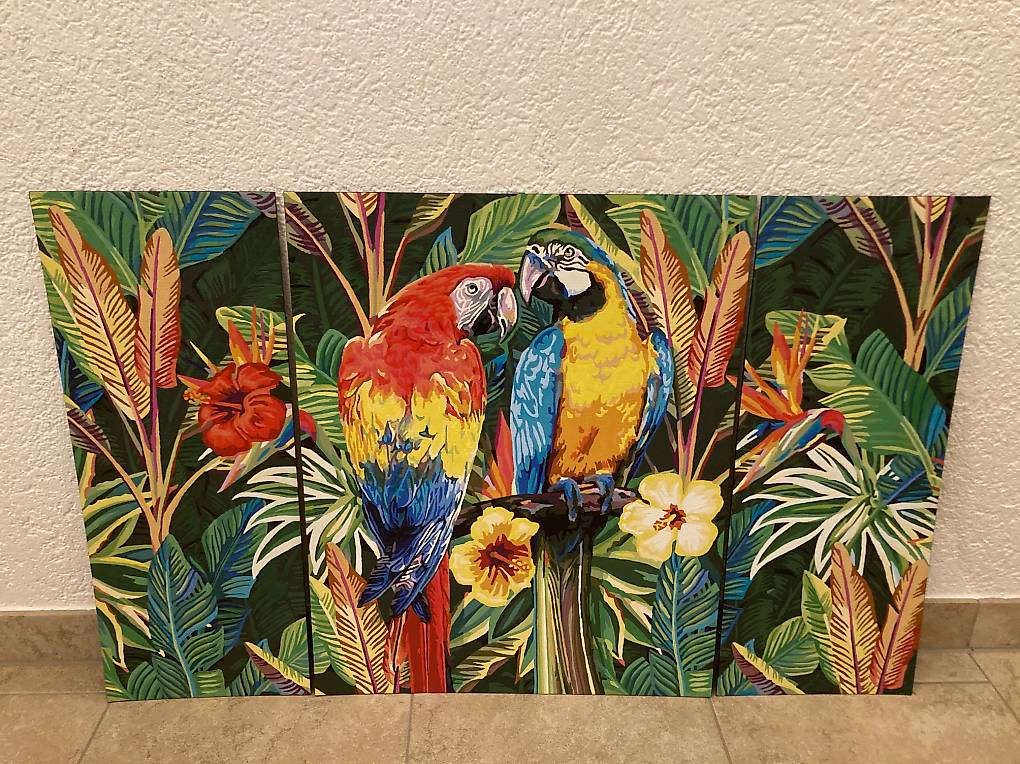 3-teiliges Bild/Gemälde "Papageien im Regenwald" im Kanton Basel-Landschaft - tutti.ch