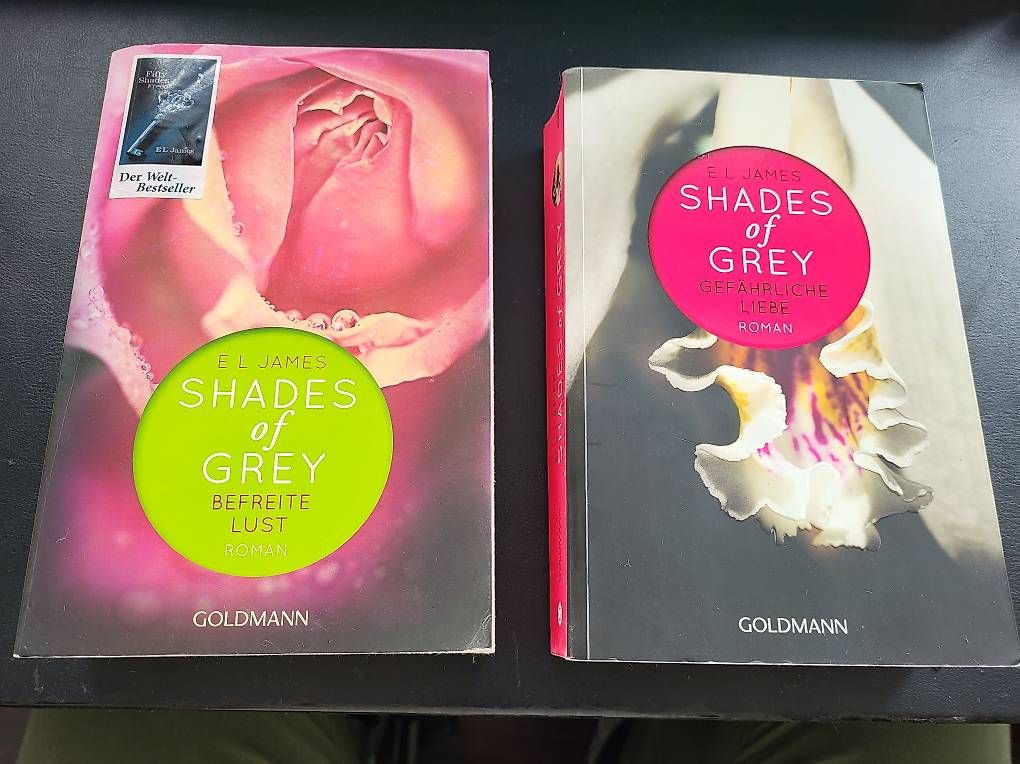 Bücher - Shades of Grey - Roman im Kanton Bern - tutti.ch