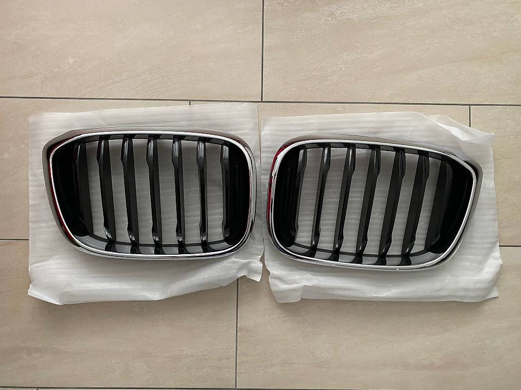 BMW X3 G01 Nieren im Kanton Aargau - tutti.ch