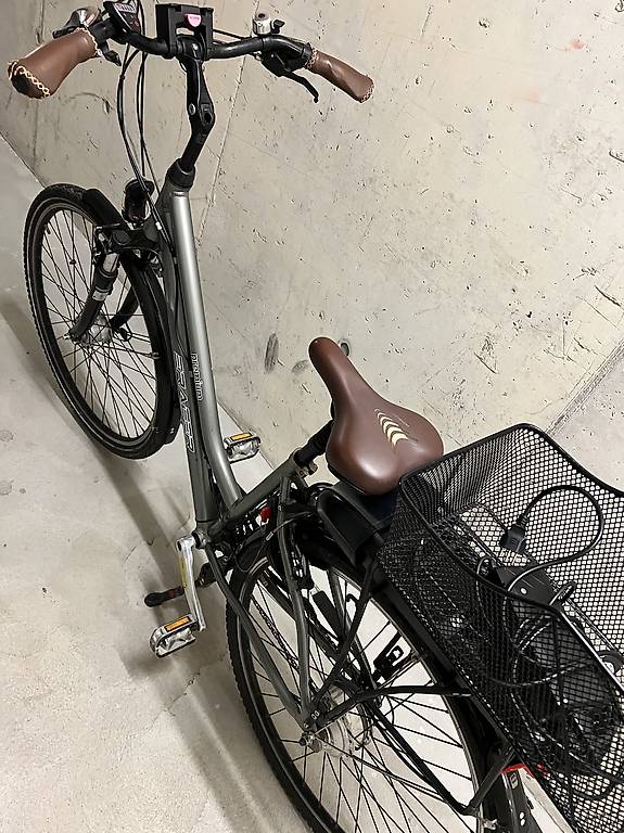 E Bike Damen eRacer Premium ab Service Neue Akku im Kanton Zürich - tutti.ch