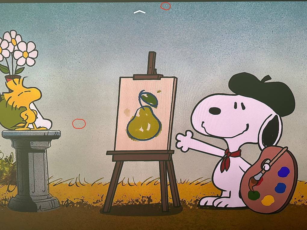 Vava Chroma - ALPD® 4.0 Triple-Laser 4K UHD im Kanton Zürich - tutti.ch