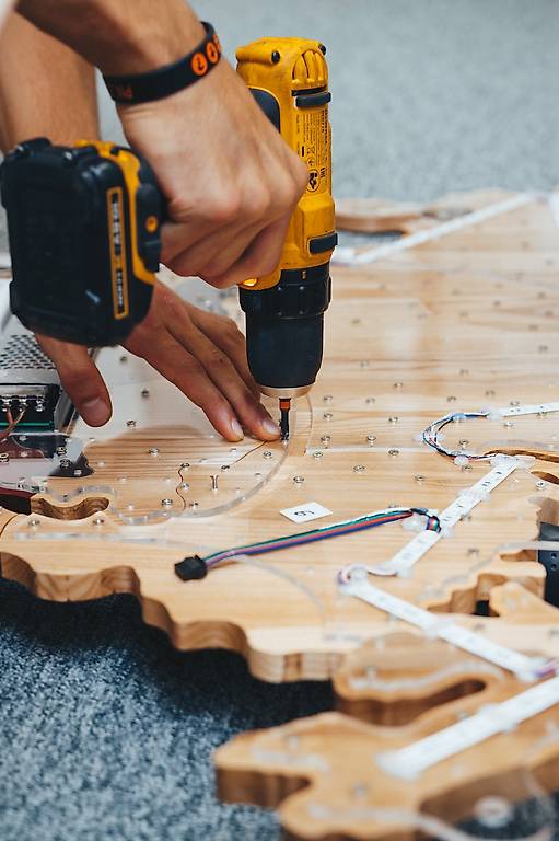 3D-Weltkarte aus Massivholz mit LED-Beleuchtung Canton Berne - tutti.ch