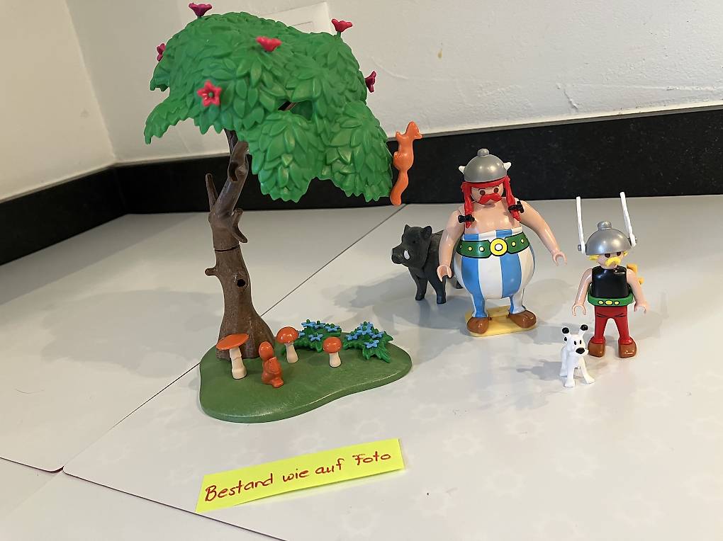 Playmobil - Asterix die Wildschwein Jagd mit Kipbaum 71116 im Kanton Bern - tutti.ch