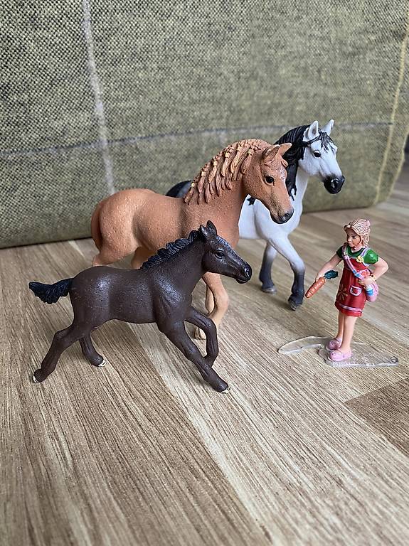 Schleich Pferde und Kind im Kanton Zürich - tutti.ch