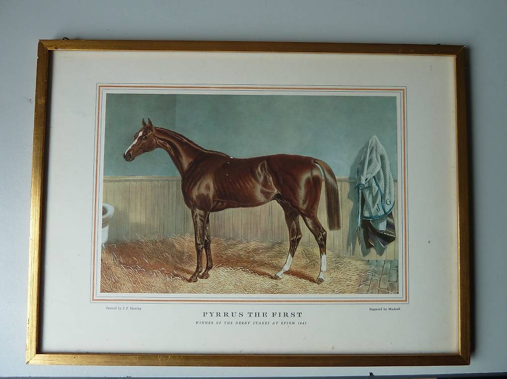 Kunst Bild Pferd, vintage, Kunstdruck im Kanton Graubünden - tutti.ch