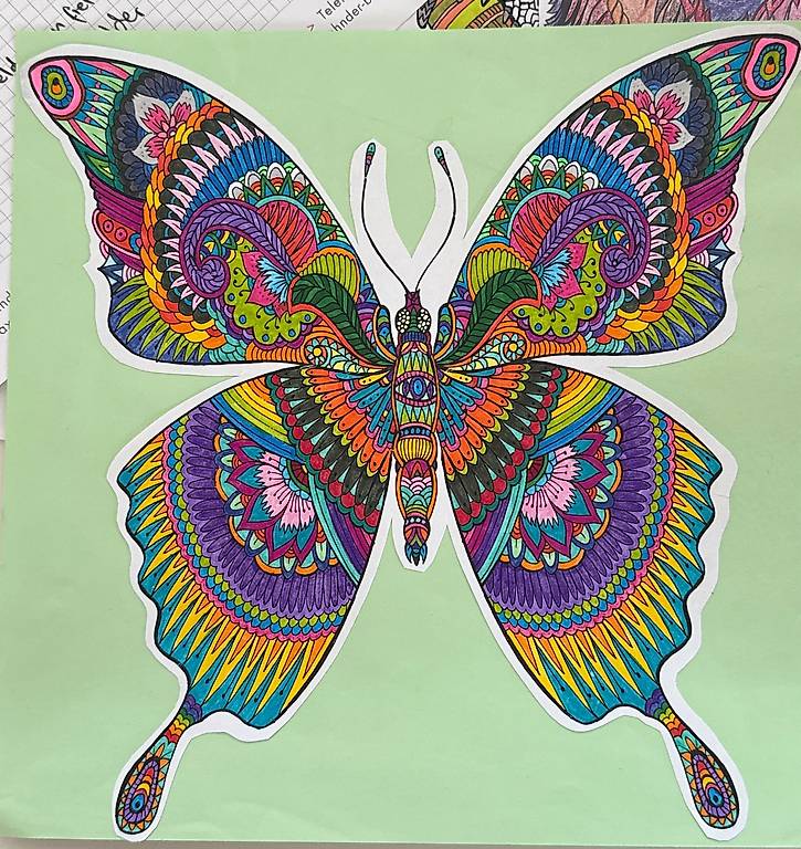 Bild von Hand gemalt 21cm "Zauberhafter Schmetterling" im Kanton Aargau ...