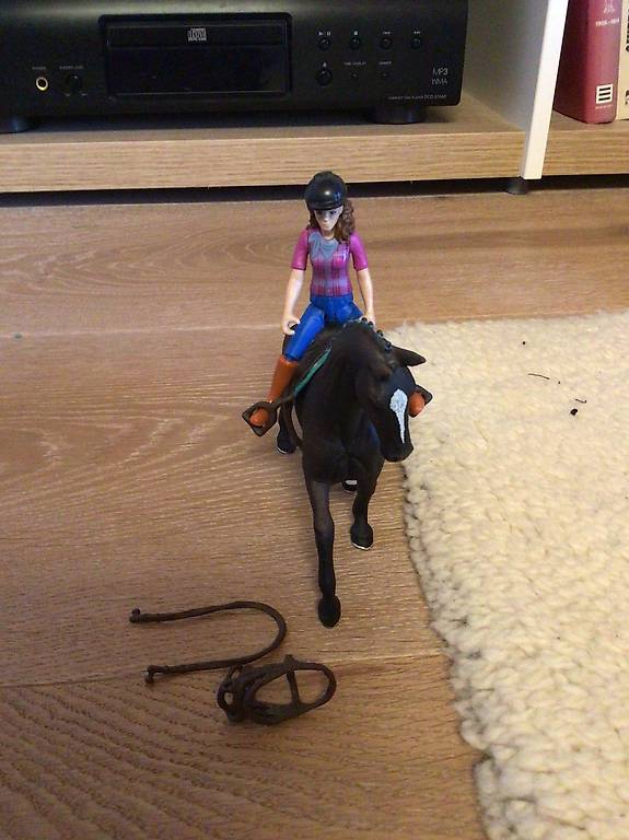 Schleich Horse Club: Lisa und Storm im Kanton Basel-Landschaft - tutti.ch