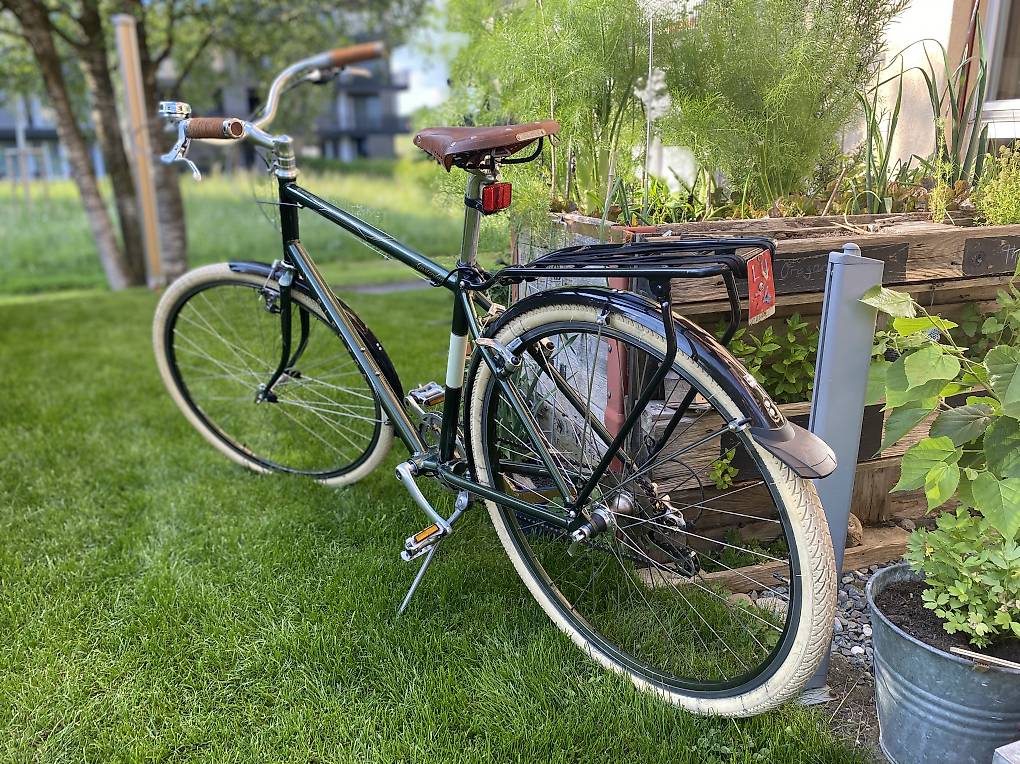 Electra Amsterdam Sport Herren im Kanton Luzern - tutti.ch