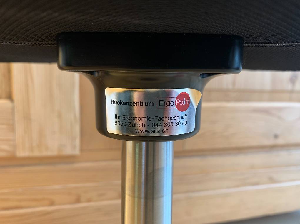 Varier Move / Ergonomischer Balance-Hocker / Stehhilfe im Kanton St ...