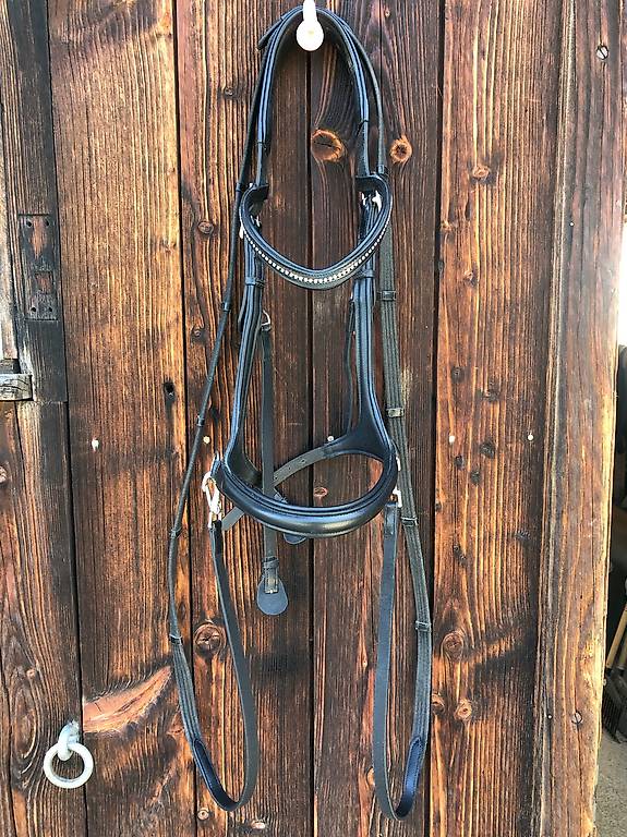 Zaum gebisslos USG Grösse WB im Kanton Zürich - tutti.ch