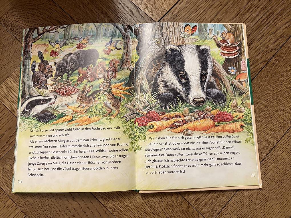 Kinder Bilderbuch die schönsten TIERGESCHICHTEN im Kanton Luzern - tutti.ch