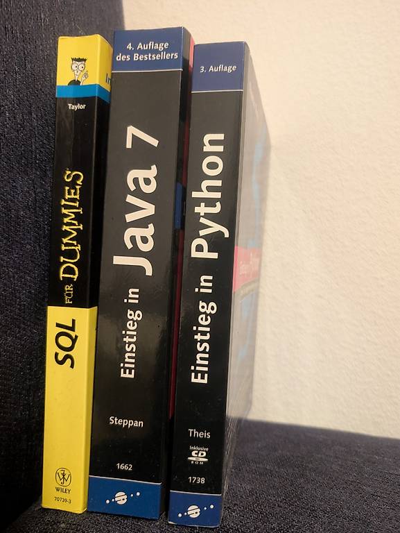 SQL, Java 7, Python ? 3 Fachbücher für Software-Entwickler im Kanton ...