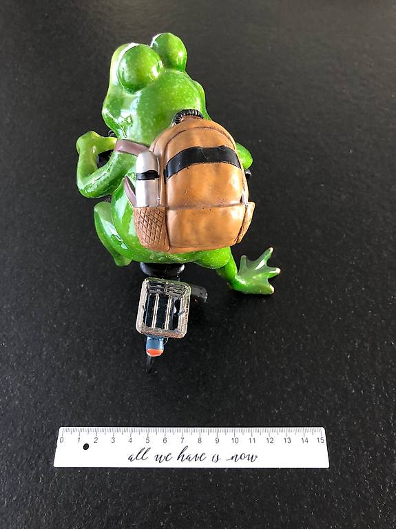 Geschenk, Frosch auf dem Sprinter Fahrrad Cantone Argovia - tutti.ch ...