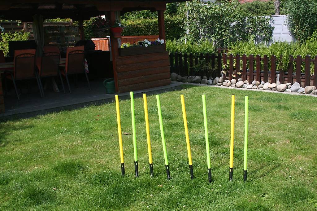 Agility Slalomstangen im Kanton Solothurn - tutti.ch