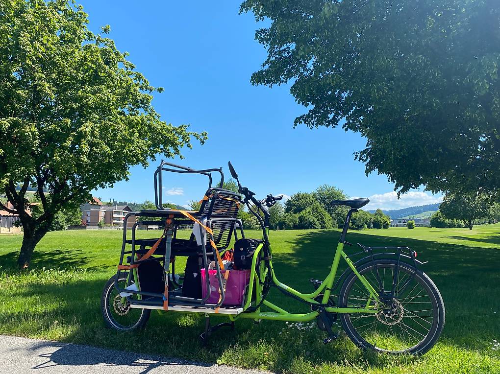 E-Bike-Cargo-Reichweite 100km-Mittelmotor-8Gang-Hund- Box im Kanton ...