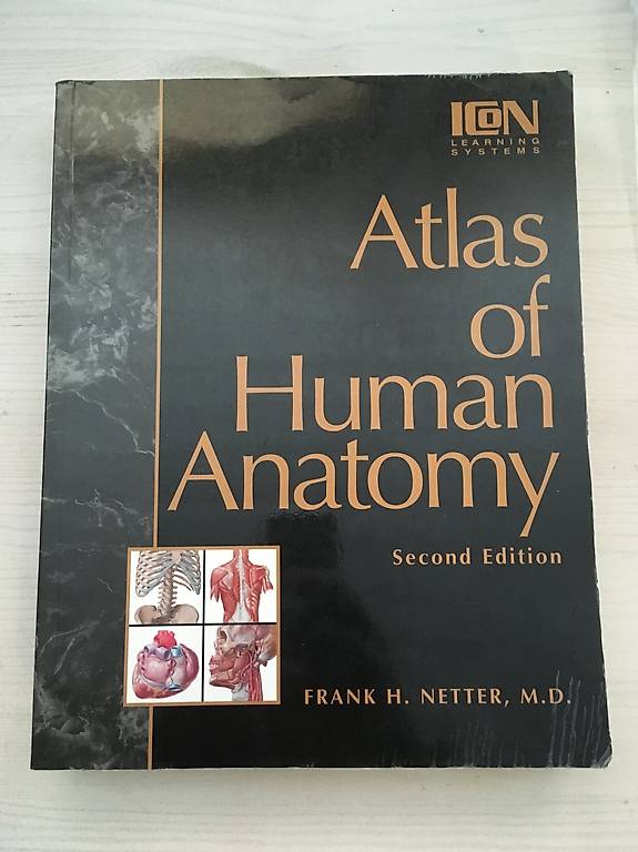 Atlas of Human Anatomy - Frank H. Netter - Second edition im Kanton ...
