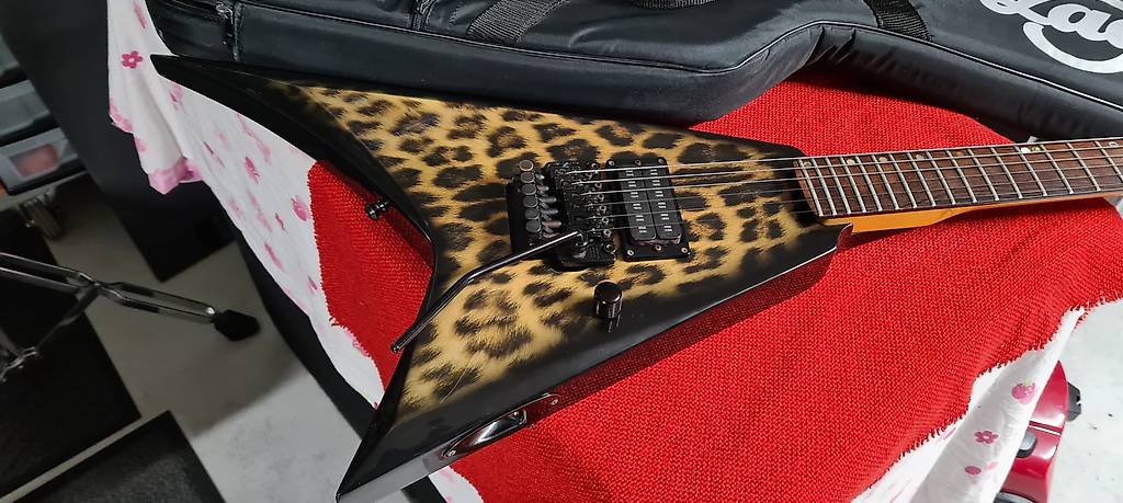 E-Gitarre Lag, Vintage Alles original !!!!! im Kanton Zürich - tutti.ch