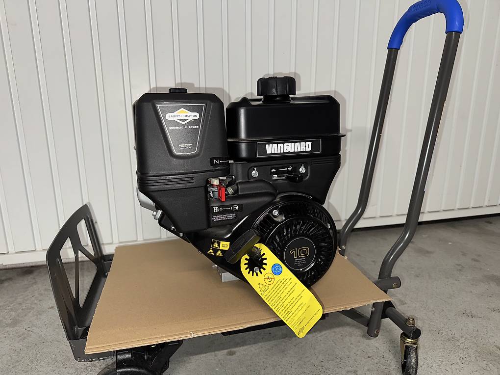 Starker Briggs & Stratton 19L232, Vanguard, 10 PS im Kanton St. Gallen ...