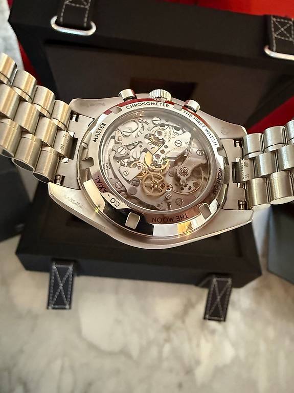 Oméga Speedmaster Moonwatch Reverse Panda im Kanton Appenzell ...