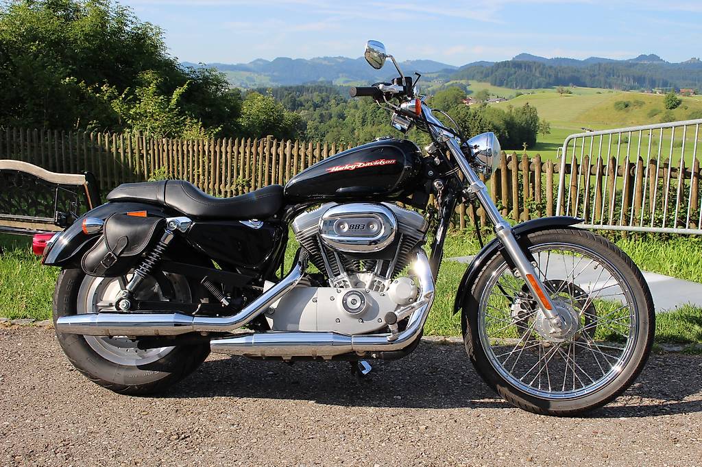 HARLEY-DAVIDSON XL 883 C Sportster Custom Cantone San Gallo - tutti.ch