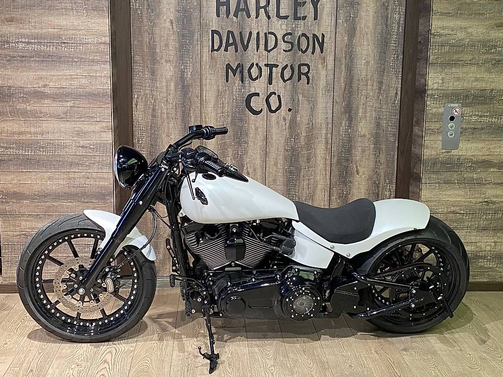HARLEY-DAVIDSON FLSS Softail Slim S110 ABS im Kanton Aargau - tutti.ch