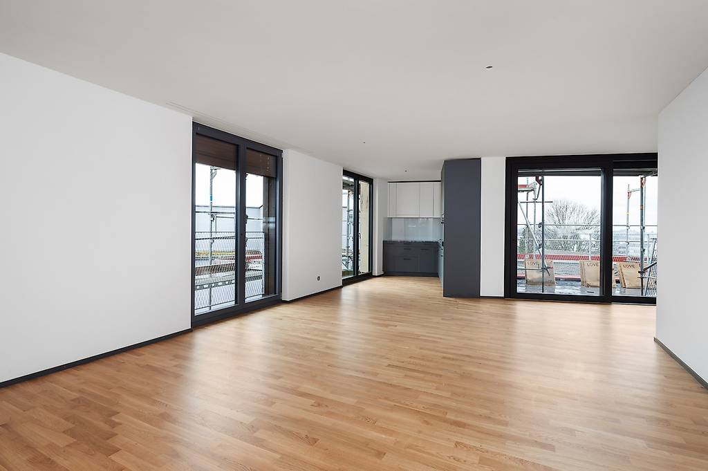 Erstvermietung: Gemütliche 3.5 Zimmer-Attika-Wohnung im Kanton Zürich ...