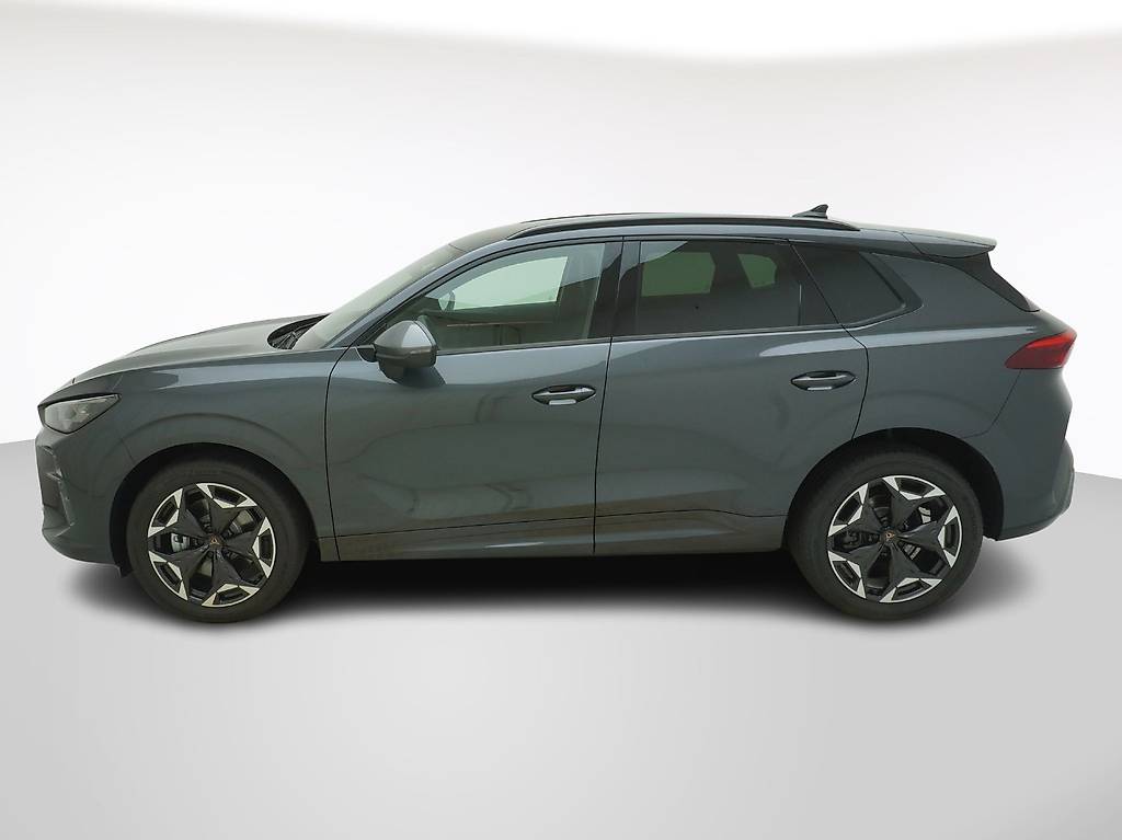 CUPRA Terramar 2.0 TSI 4Drive DSG im Kanton Thurgau - tutti.ch