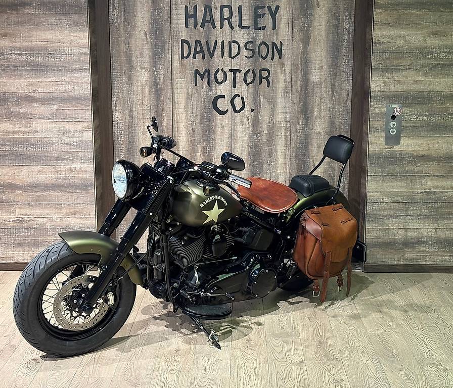 HARLEY-DAVIDSON FLSS Softail Slim S110 ABS im Kanton Aargau - tutti.ch