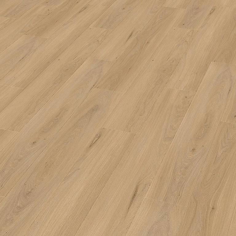 Hochwertiger Bodenbelag Vinyl Klebevariante (20m2) im Kanton Thurgau ...