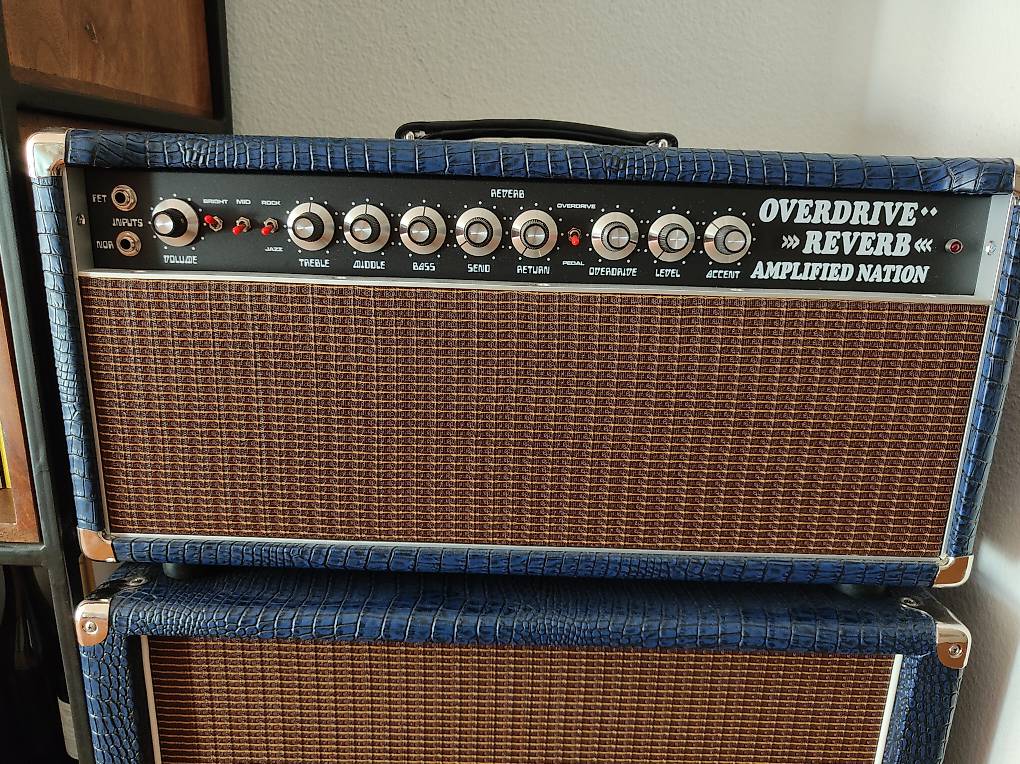 Amplified Nation - Overdrive Reverb (Dumble style amplifier) im Kanton ...