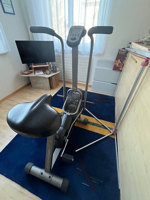 Schwinn Airdyne Evolution Pro im Kanton Aargau - tutti.ch