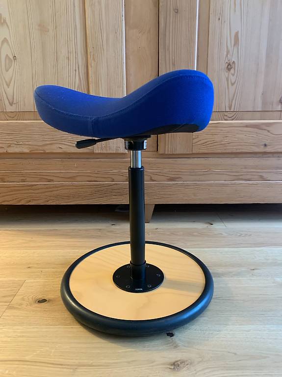 Varier Move / Ergonomischer Balance-Hocker / Stehhilfe im Kanton St ...
