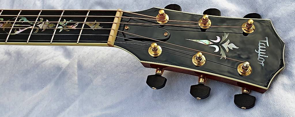 Taylor PS-10 L4 Limited (2003) Cocobolo & Sitka im Kanton Basel-Stadt ...