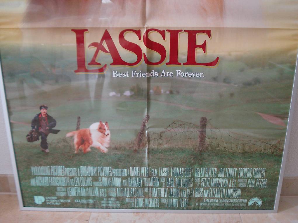 LASSIE BEST FRIENDS ARE FROEVER ORIGINALES USA FILMPLAKAT im Kanton ...