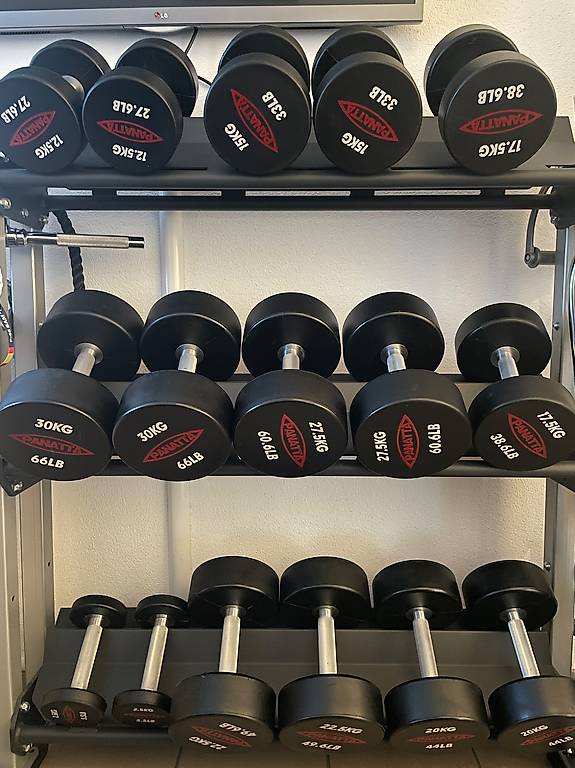 Panatta Dumbbell + Rack porta manubri im Kanton Tessin - tutti.ch