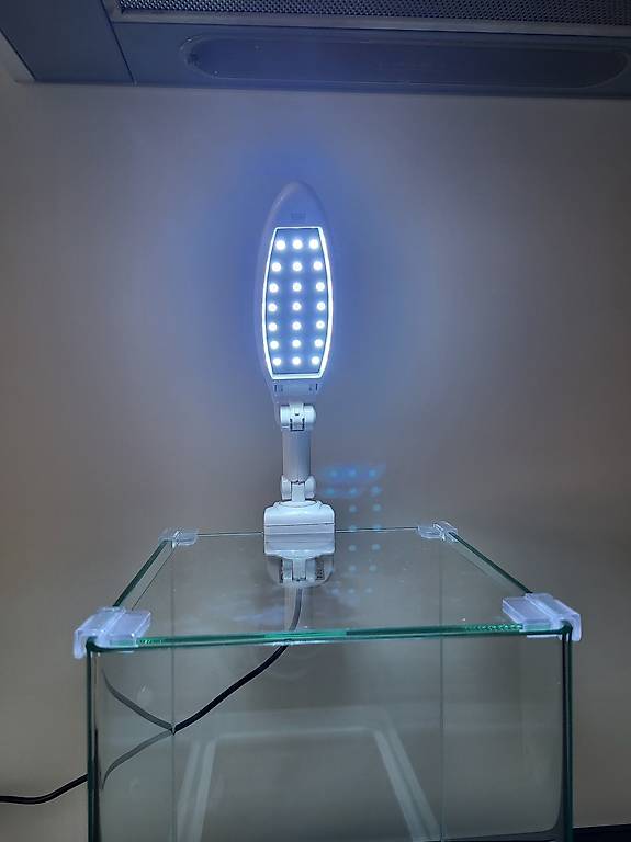 Amazonas Nano Cube 10 L + Artemia Salina Cantone Berna - tutti.ch