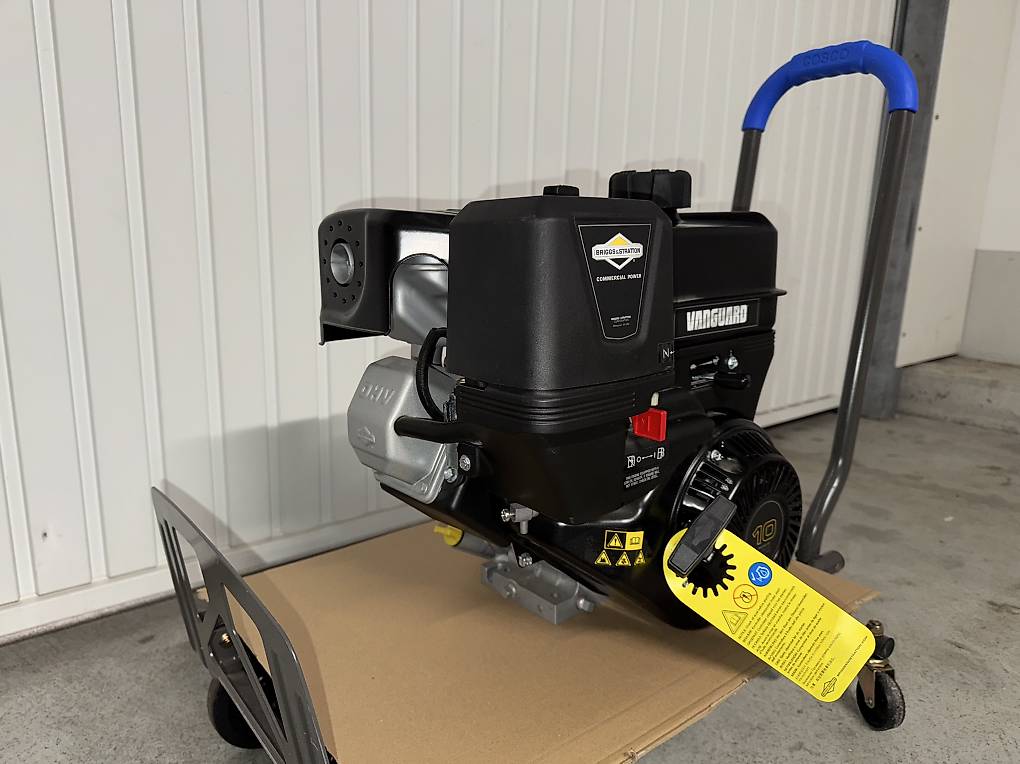 Starke Briggs & Stratton 19L232- Vanguard 10 PS im Kanton St. Gallen ...