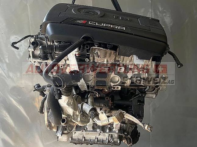 CJXA MOTOR SEAT LEON CUPRA ( GOLF 7R AUDI S3 ) im Kanton Bern - tutti.ch