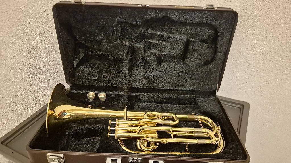 Yamaha Es Horn YAH 602 guter Zustand im Kanton Zürich - tutti.ch