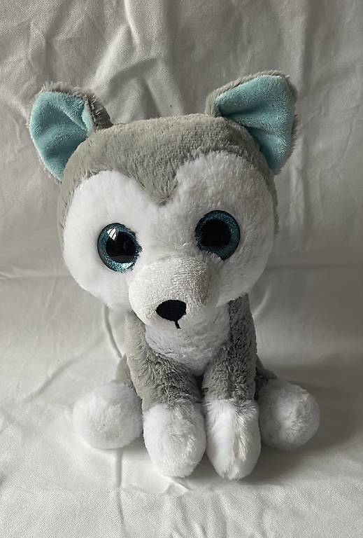 TY Husky Plüschtier im Kanton Bern - tutti.ch