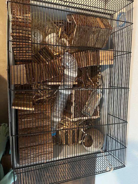 Hamster Käfig gross, mit Ausstattung und Stroh usw im Kanton Basel ...