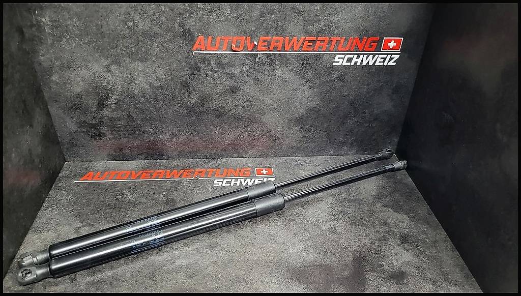 HECKKLAPPENDÄMPFER HINTEN VW GOLF 7 5G6827550C 5G6827550G im Kanton ...
