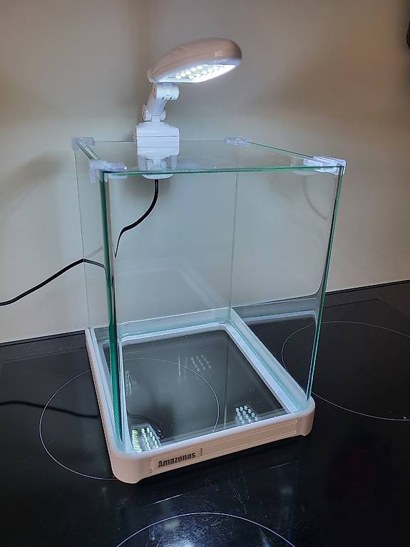 Amazonas Nano Cube 10 L + Artemia Salina Cantone Berna - tutti.ch