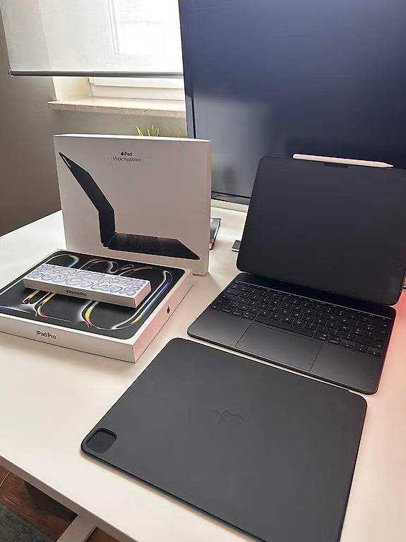 iPad Pro 13 M4 256GB + Magic Keyboard und Apple Pencil Pro im Kanton ...