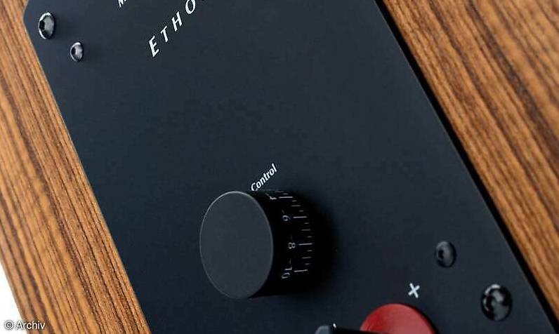 Martin Logan Ethos, High End Elektrostat, traumhaft klingend im Kanton ...