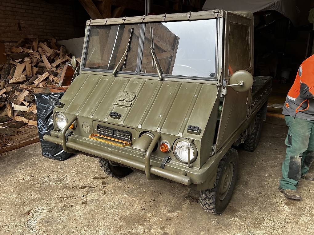 Steyr-Puch Haflinger (35600km) im Kanton Zürich - tutti.ch