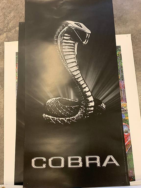 Cobra Poster im Kanton Zürich - tutti.ch