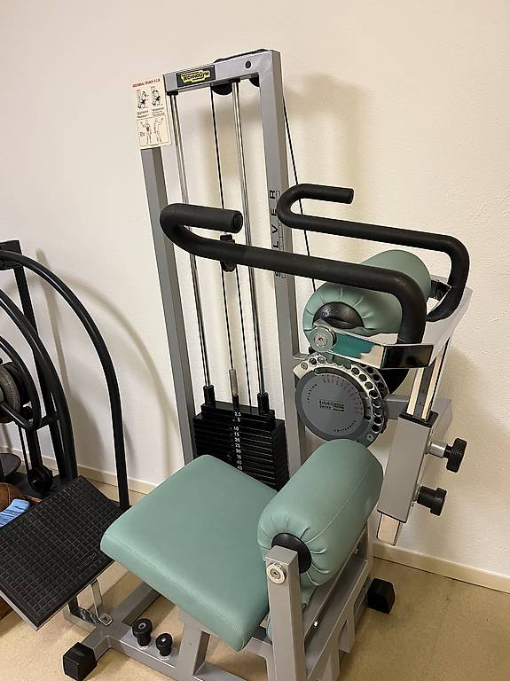 Technogym Abdominal Crunch R.O.M. Silverline im Kanton Tessin - tutti.ch